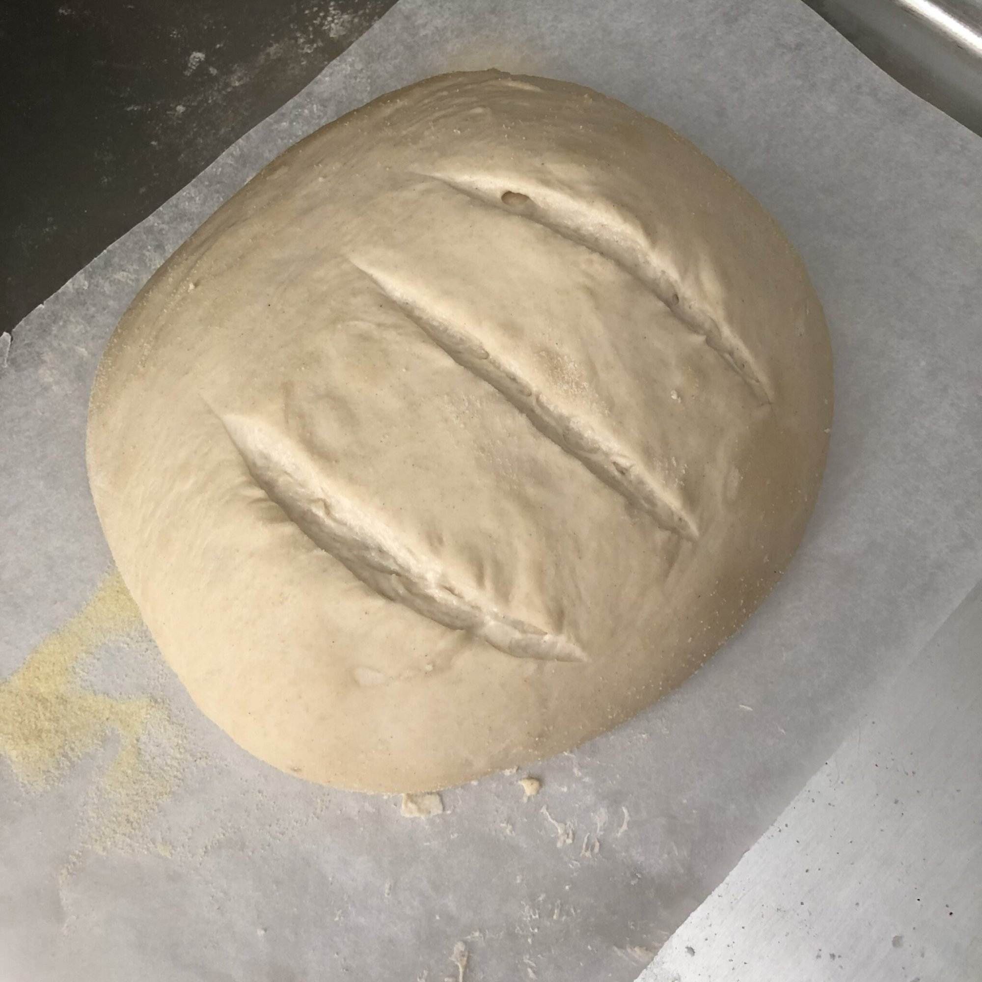 Beginner Artisan Bread - That Bread Lady