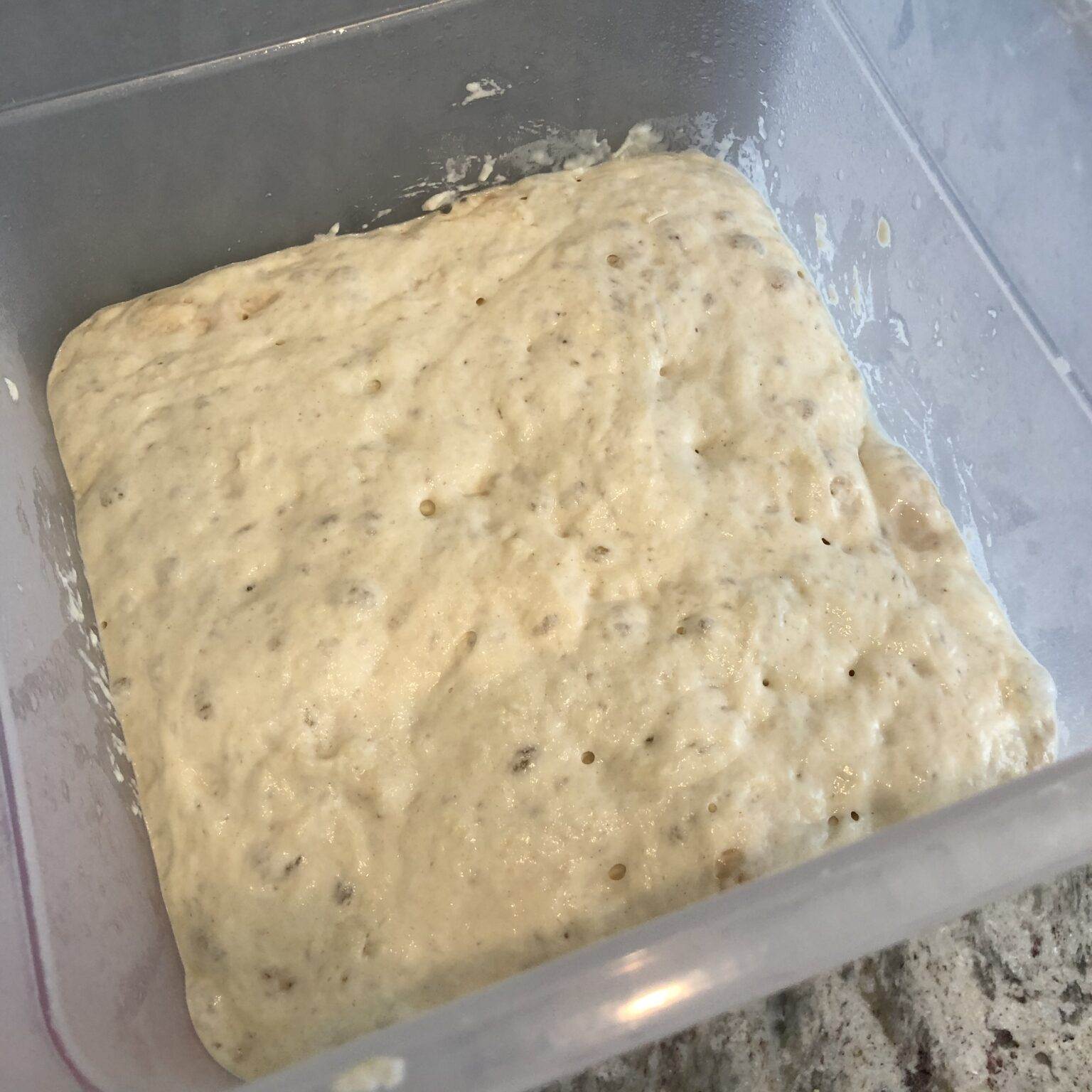 Beginner Artisan Bread - That Bread Lady